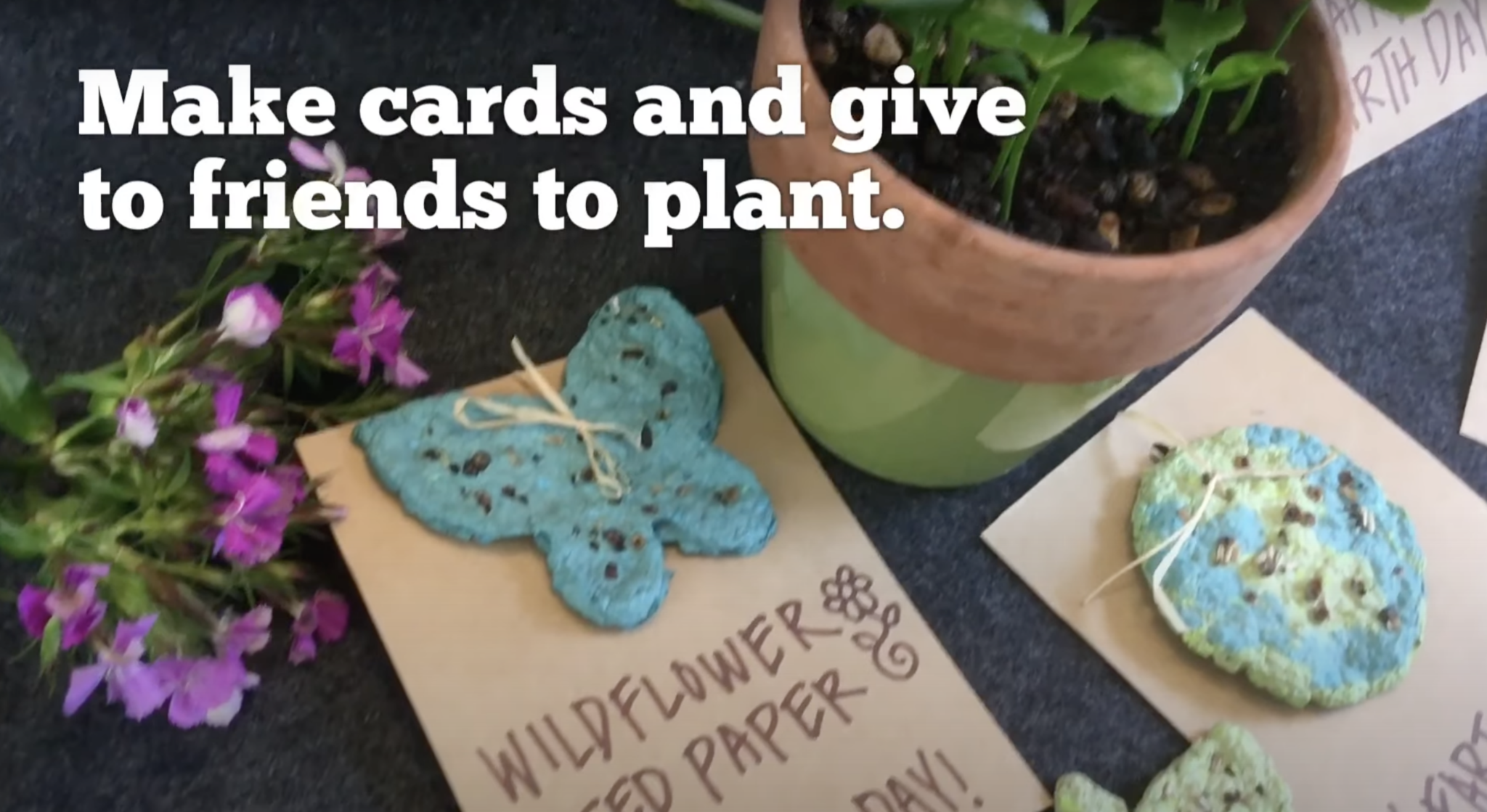 Learn How to Make Seed Paper With This Fun Craft | ABCmouse