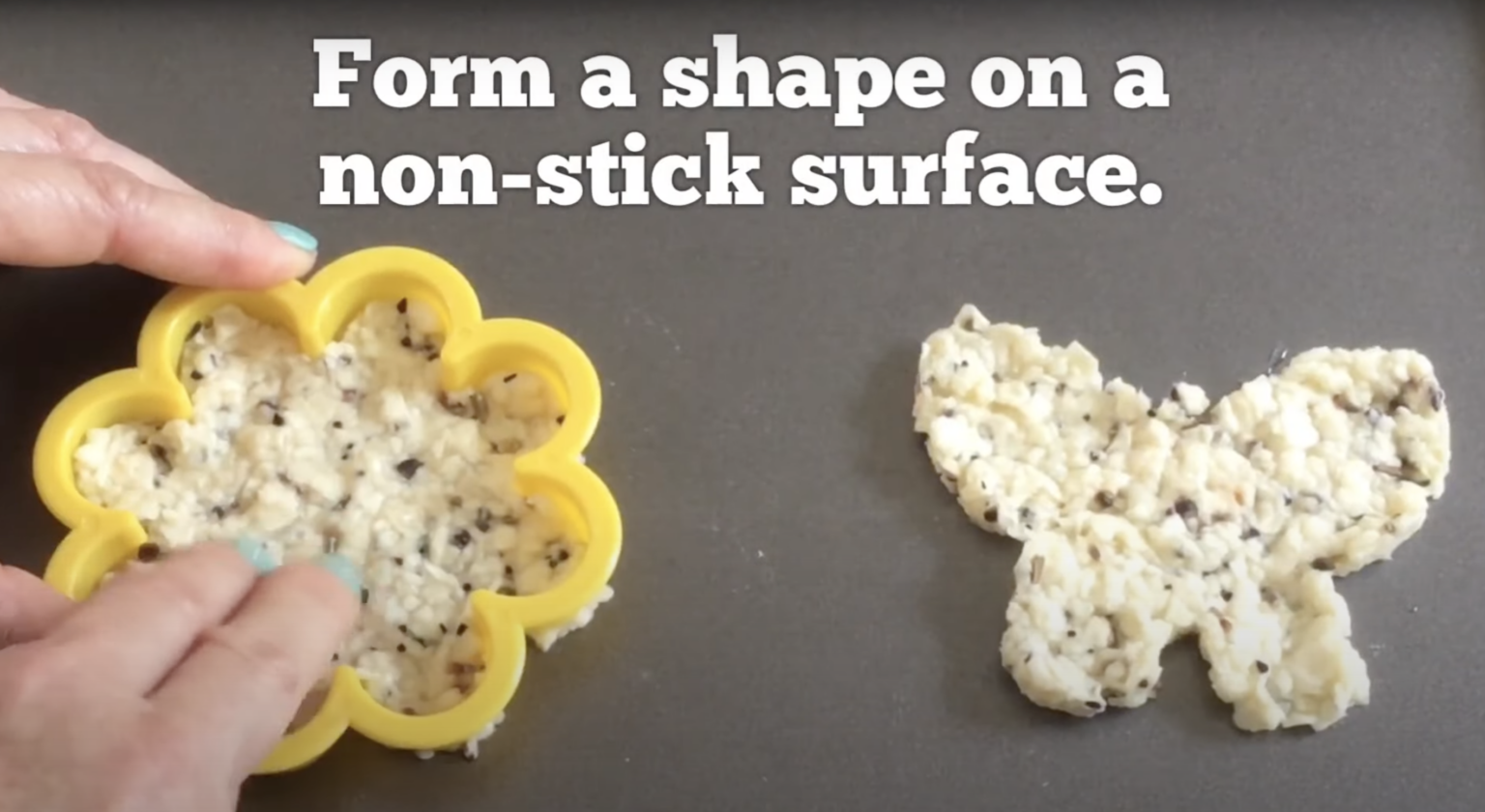 Learn How to Make Seed Paper With This Fun Craft | ABCmouse