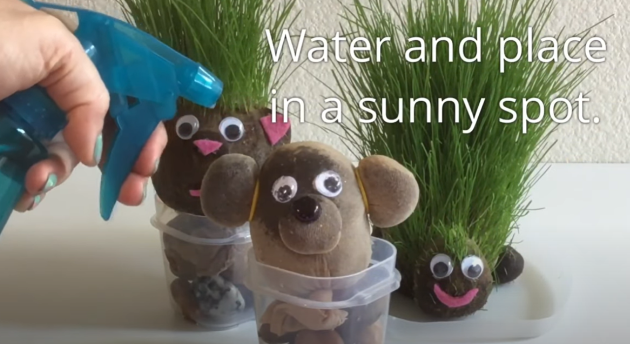 Learn How to Make Silly Seed Animals | ABCmouse
