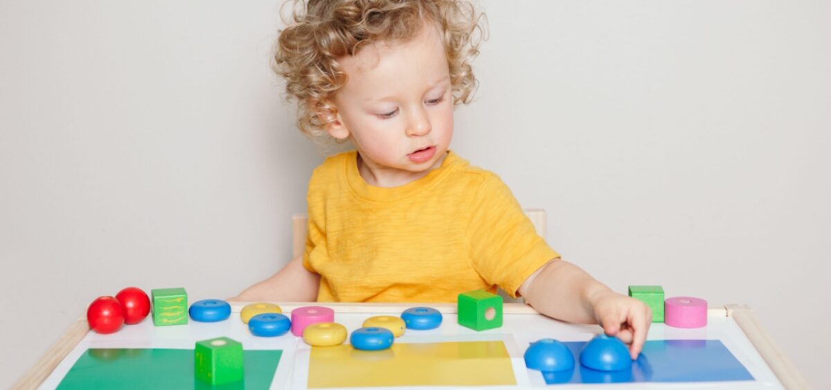 The Best Sorting Activities for Preschoolers | ABCmouse