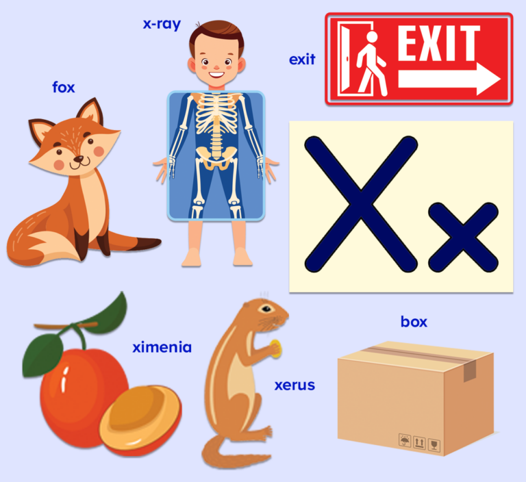 Words That Start With The Letter X For Kids ABCmouse