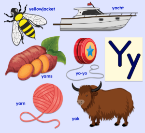 Words that Start With the Letter Y for Kids | ABCmouse