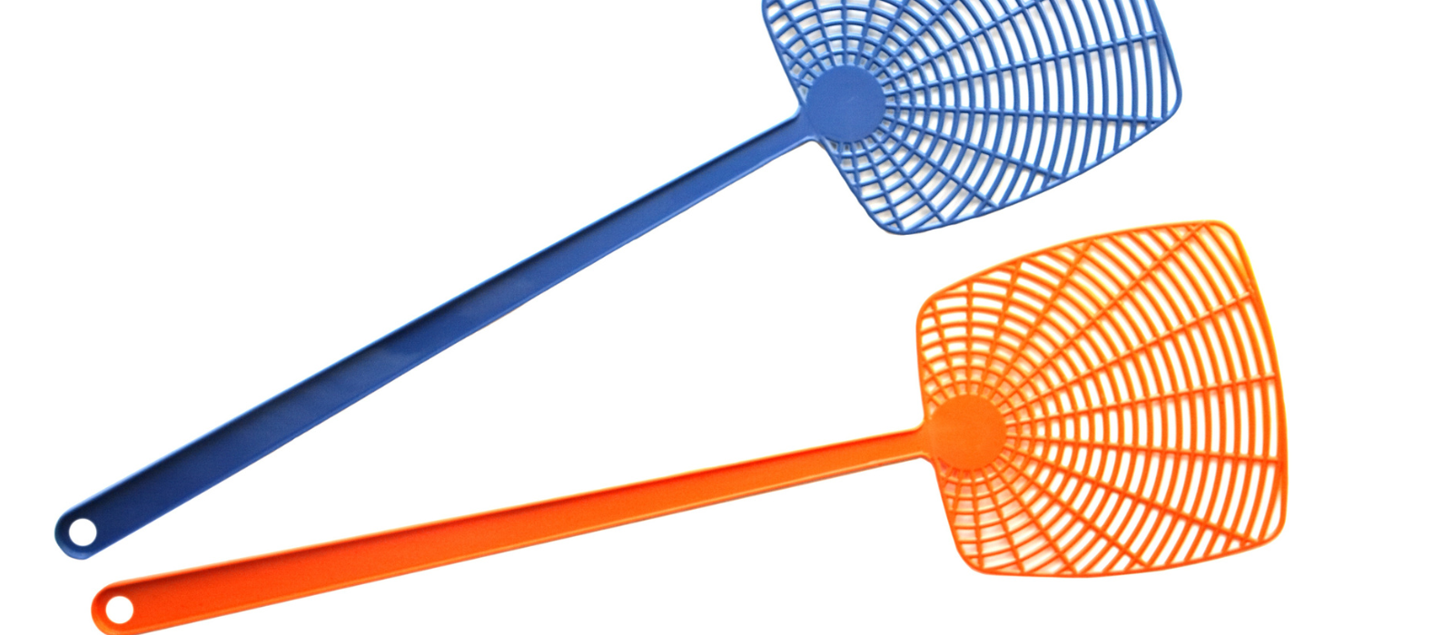 Letter Recognition Activities for Preschoolers | ABCmouse