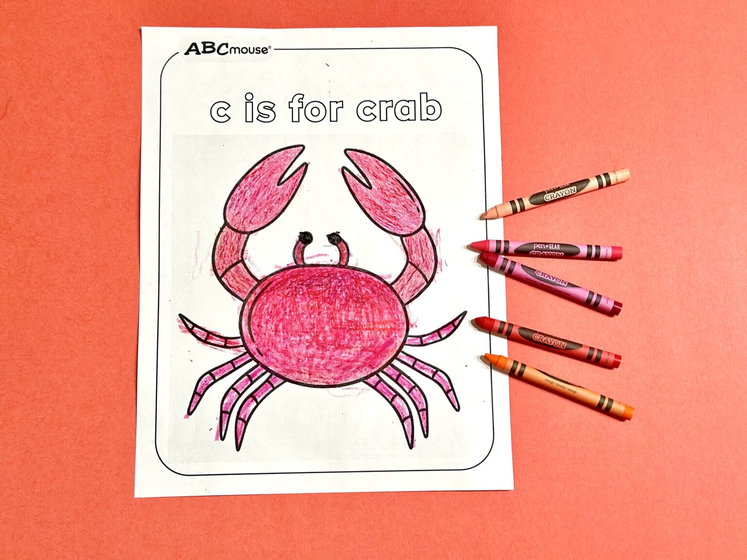Letter C Crafts and Activities | ABCmouse