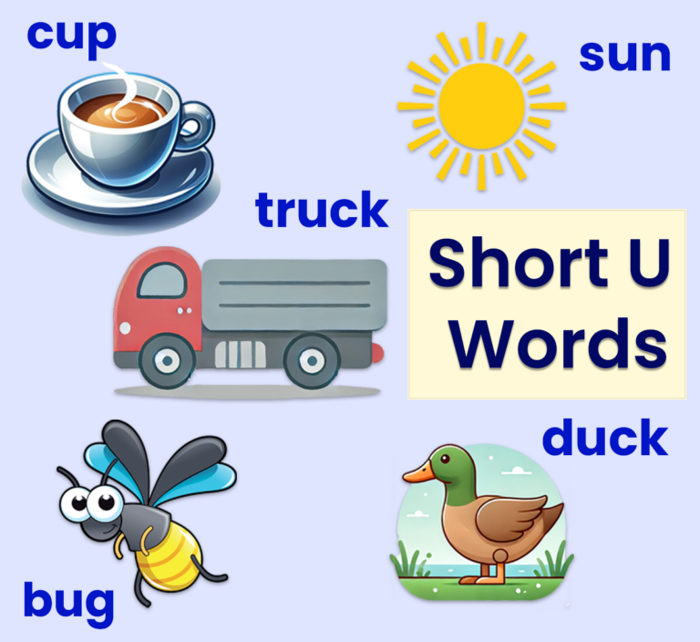 Short U Words for Kids (Free Printable List) | ABCmouse