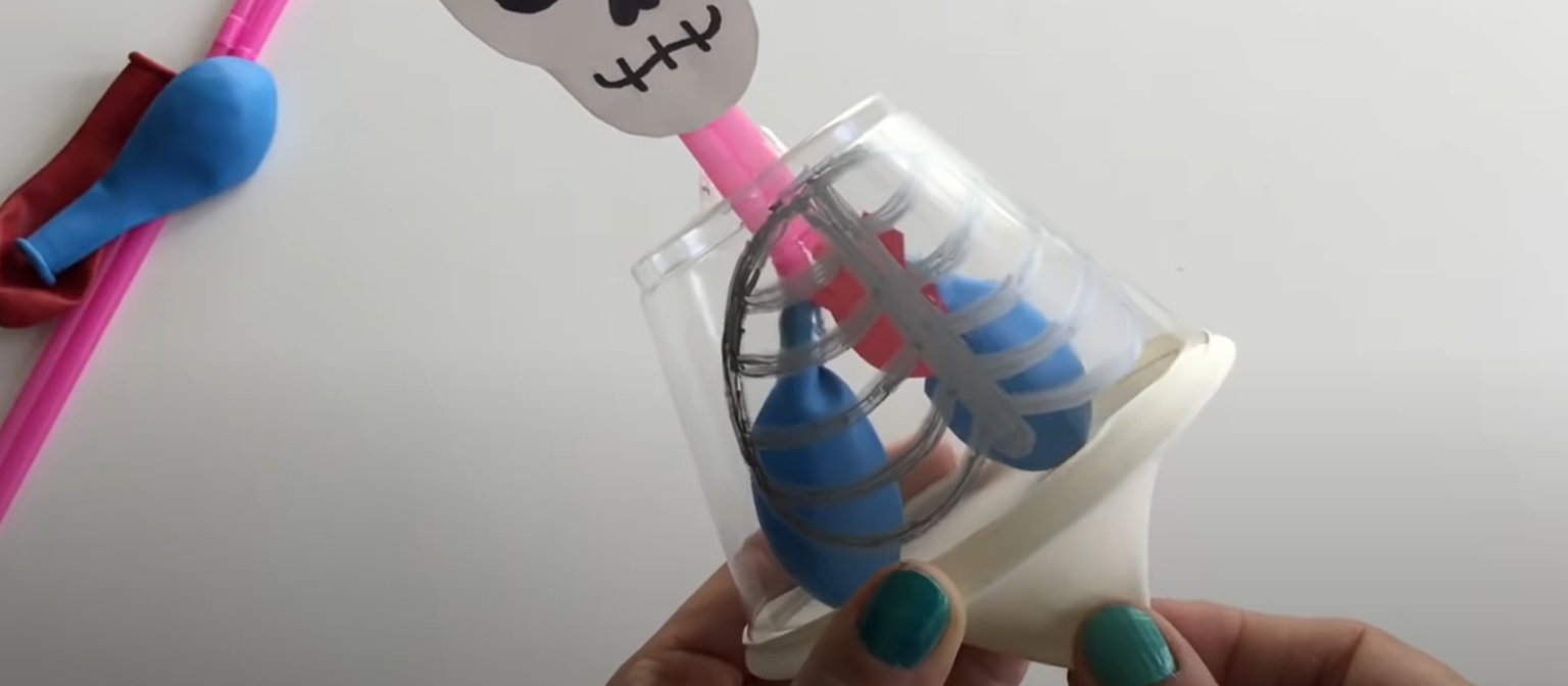 STEM Activity for Kids: Human Lungs | ABCmouse