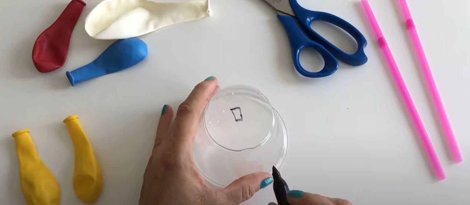 STEM Activity for Kids: Human Lungs | ABCmouse