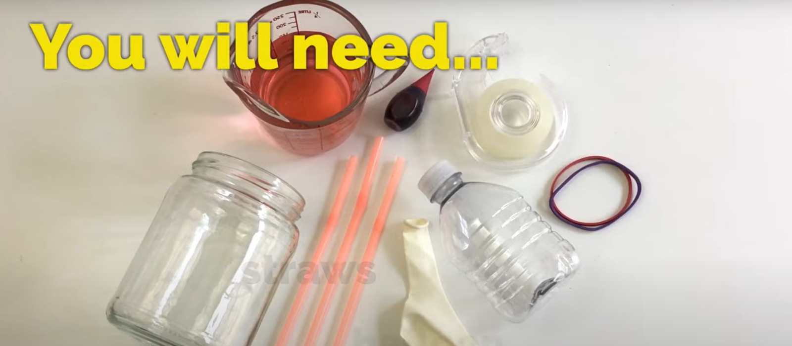 STEM Activity for Kids: Human Heart | ABCmouse