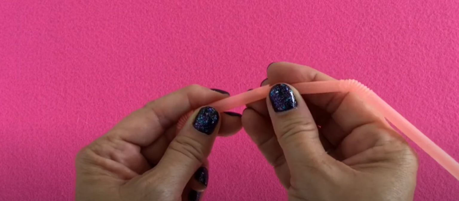 STEM Activity for Kids: Human Heart | ABCmouse