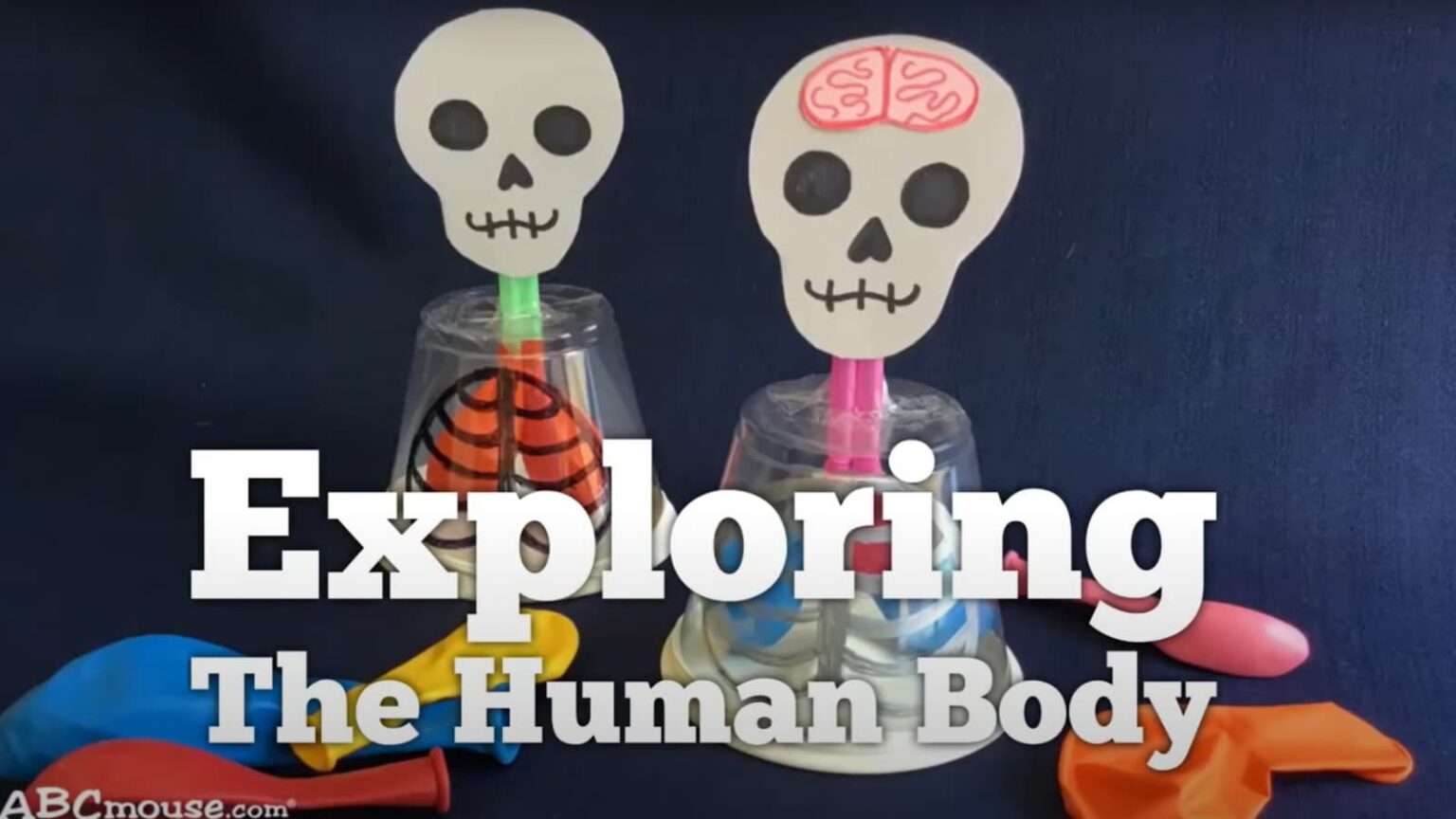 STEM Activity for Kids: Human Lungs | ABCmouse