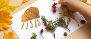 50 Fun and Educational Nature Activities for Preschoolers | ABCmouse