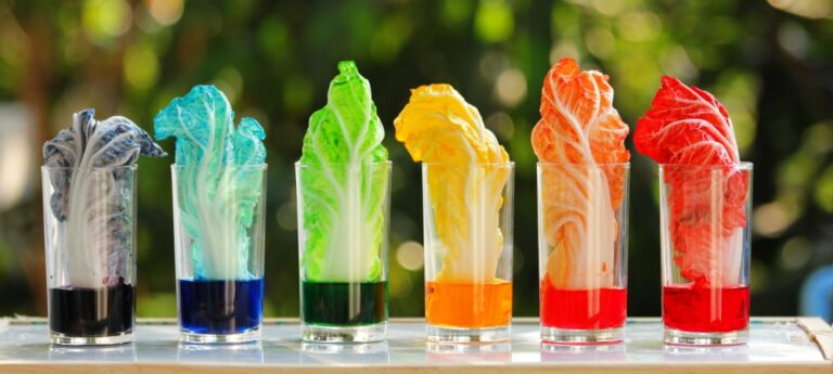 30+ Hands-on STEM Activities for Preschoolers | ABCmouse