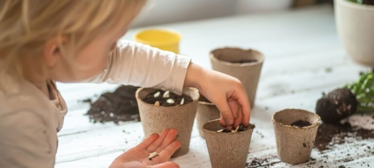 30+ Hands-on STEM Activities for Preschoolers | ABCmouse