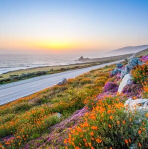 Interesting Facts About California | ABCmouse