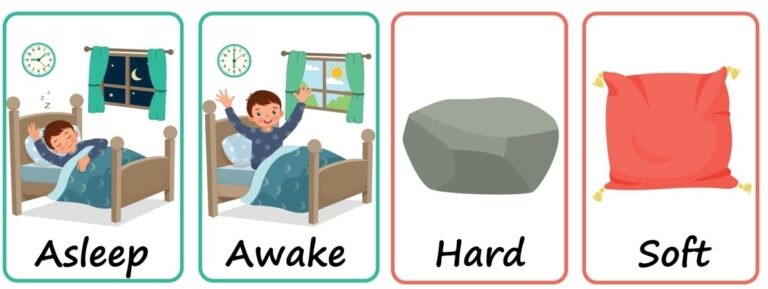 100+ Opposite Words for Kids -Free Printable | ABCmouse