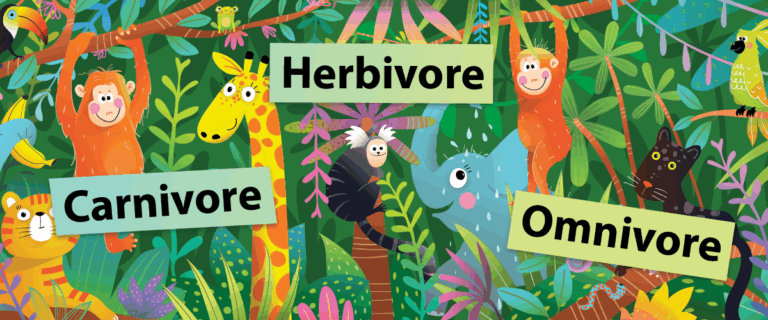Herbivore, Omnivore, and Carnivore Animal Words for Kids (Free ...