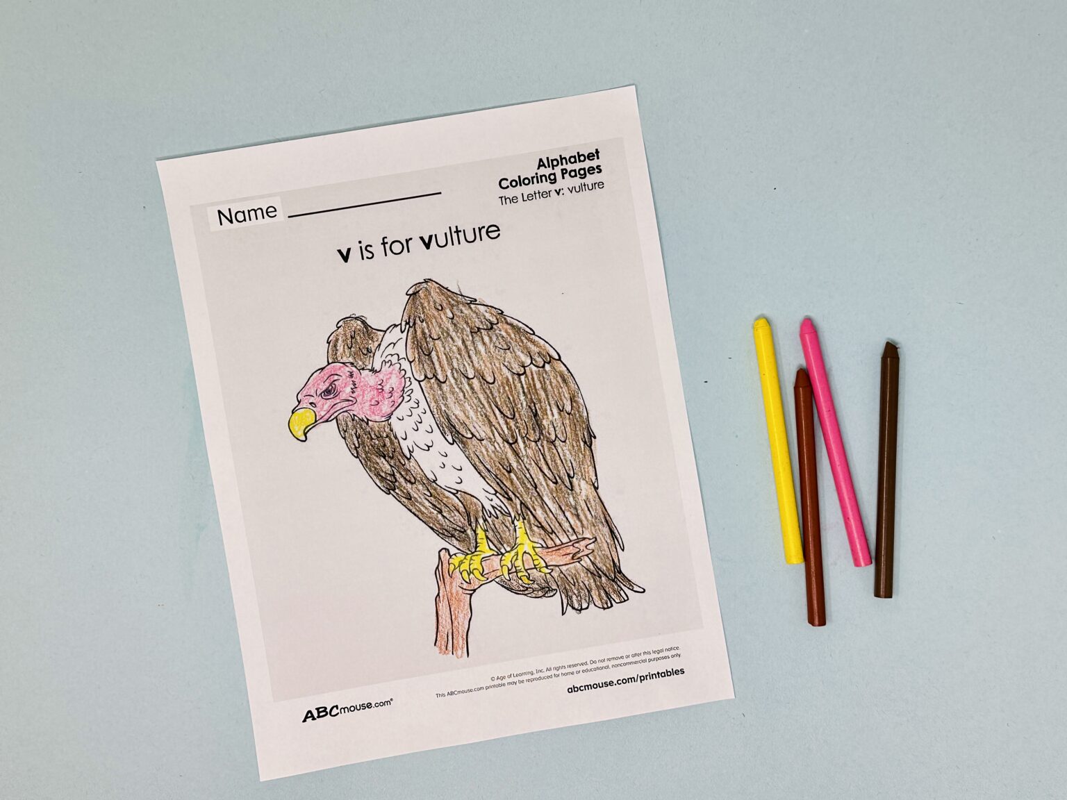 Letter V Crafts & Activities for Preschoolers | ABCmouse