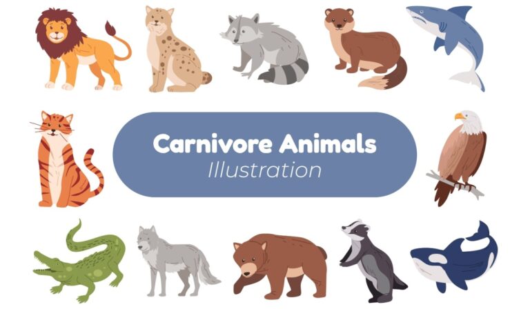 Herbivore, Omnivore, and Carnivore Animal Words for Kids (Free ...