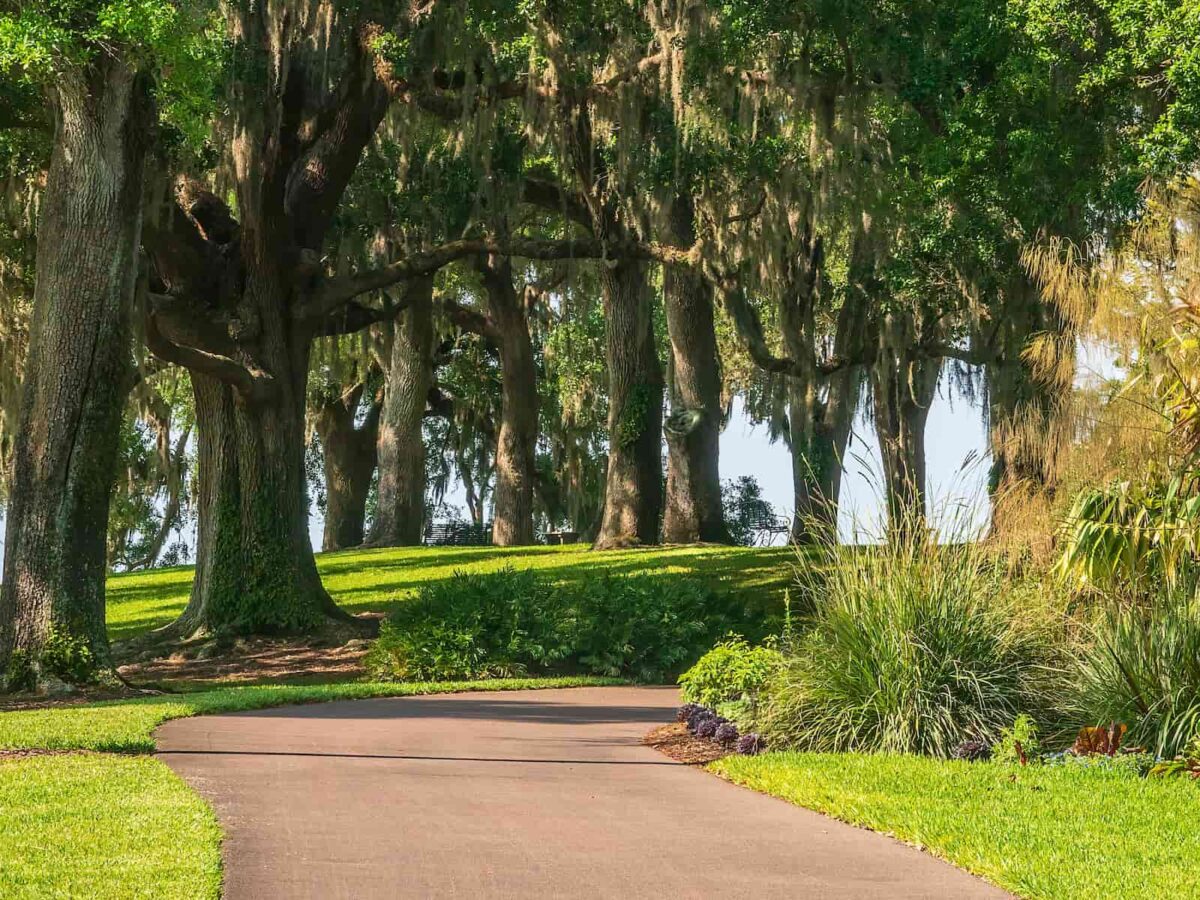 100+ Fun Florida Facts Kids Will Love to Learn | ABCmouse