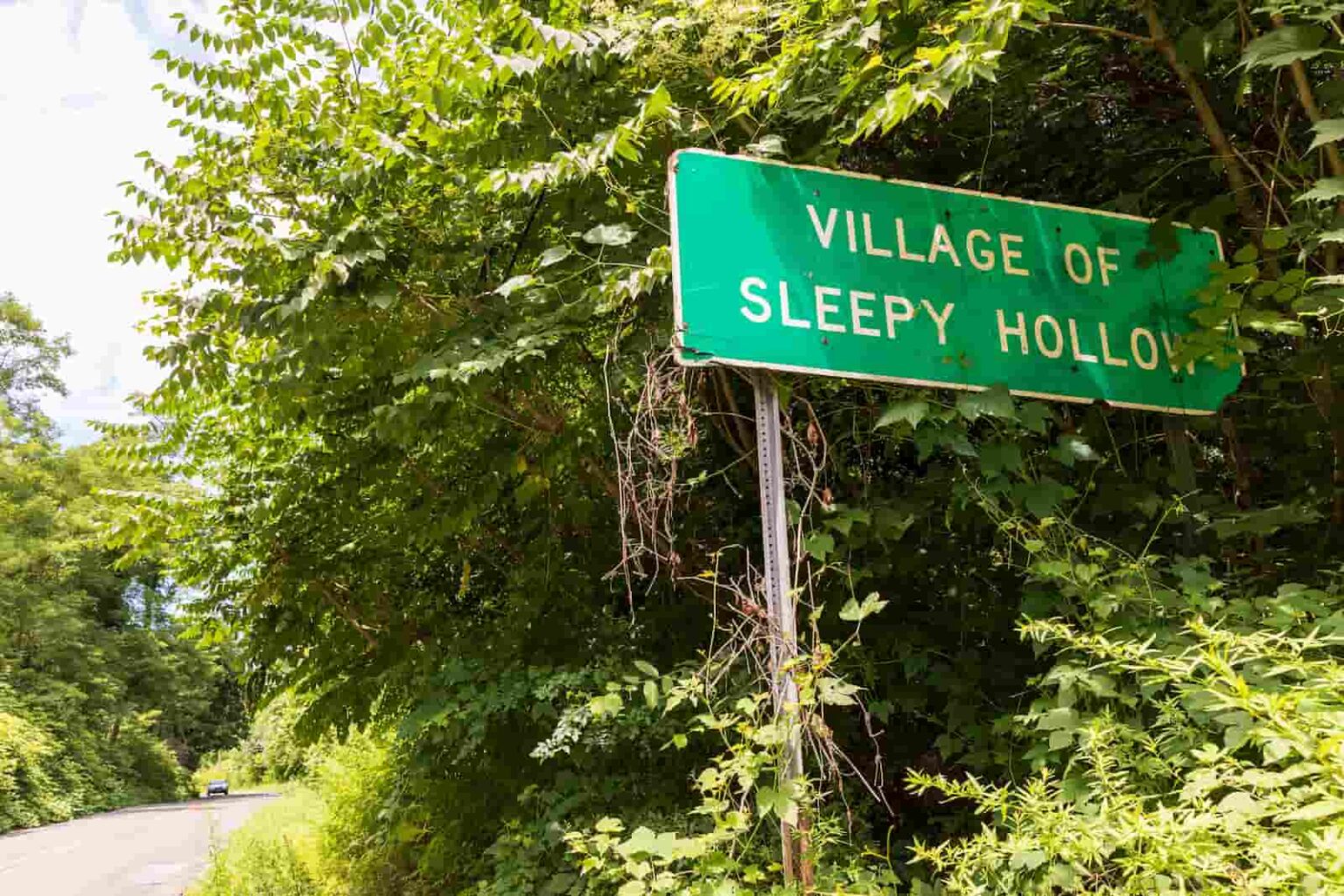 New York Facts for Kids | ABCmouse