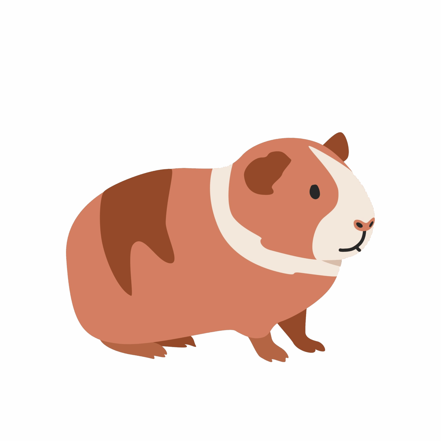 Animal Names List for Kids: 260+ Animal Names in English | ABCmouse