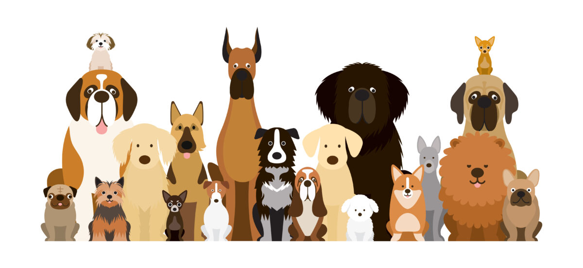 Animal Names List for Kids: 260+ Animal Names in English | ABCmouse