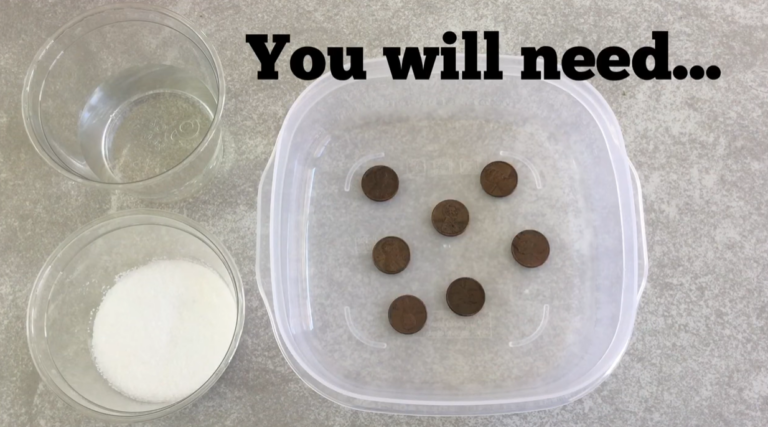 Penny Cleaning Science Experiment for Kids (Vinegar & Salt) | ABCmouse