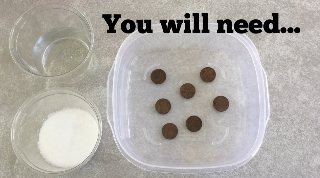 Penny Cleaning Science Experiment for Kids (Vinegar & Salt) | ABCmouse