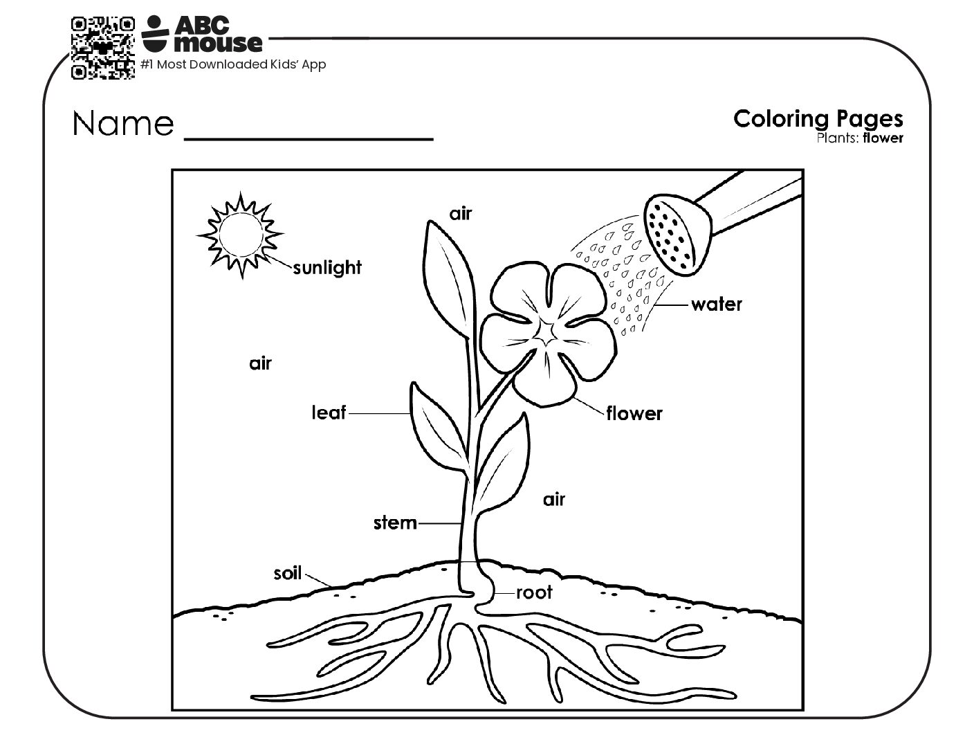 Labeled flower parts Coloring Page | ABCmouse